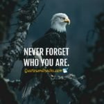 30 Best Eagle Quotes - Quotesandhacks