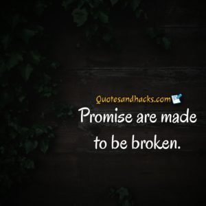 25 Best Promise quotes