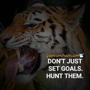 25 Best Tiger quotes
