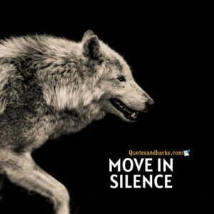 30 Best wolf motivational quotes - Quotes and Hacks