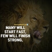 25 Best come back stronger quotes