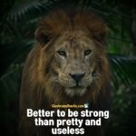25 Best come back stronger quotes