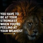 25 Best come back stronger quotes
